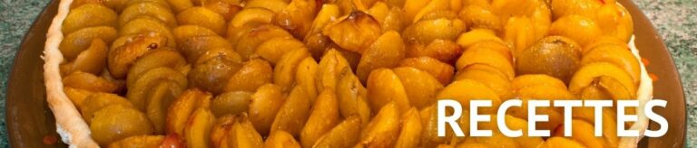 Mirabelle Rouge : tout savoir sur cette variété de prune