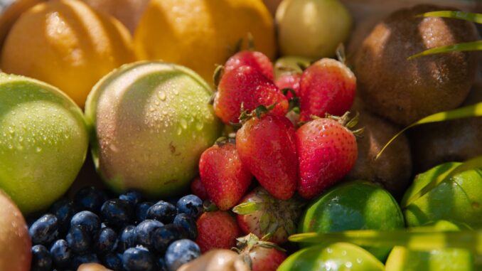 Conseils pour cultiver des petits fruits | Verger Mirabelle