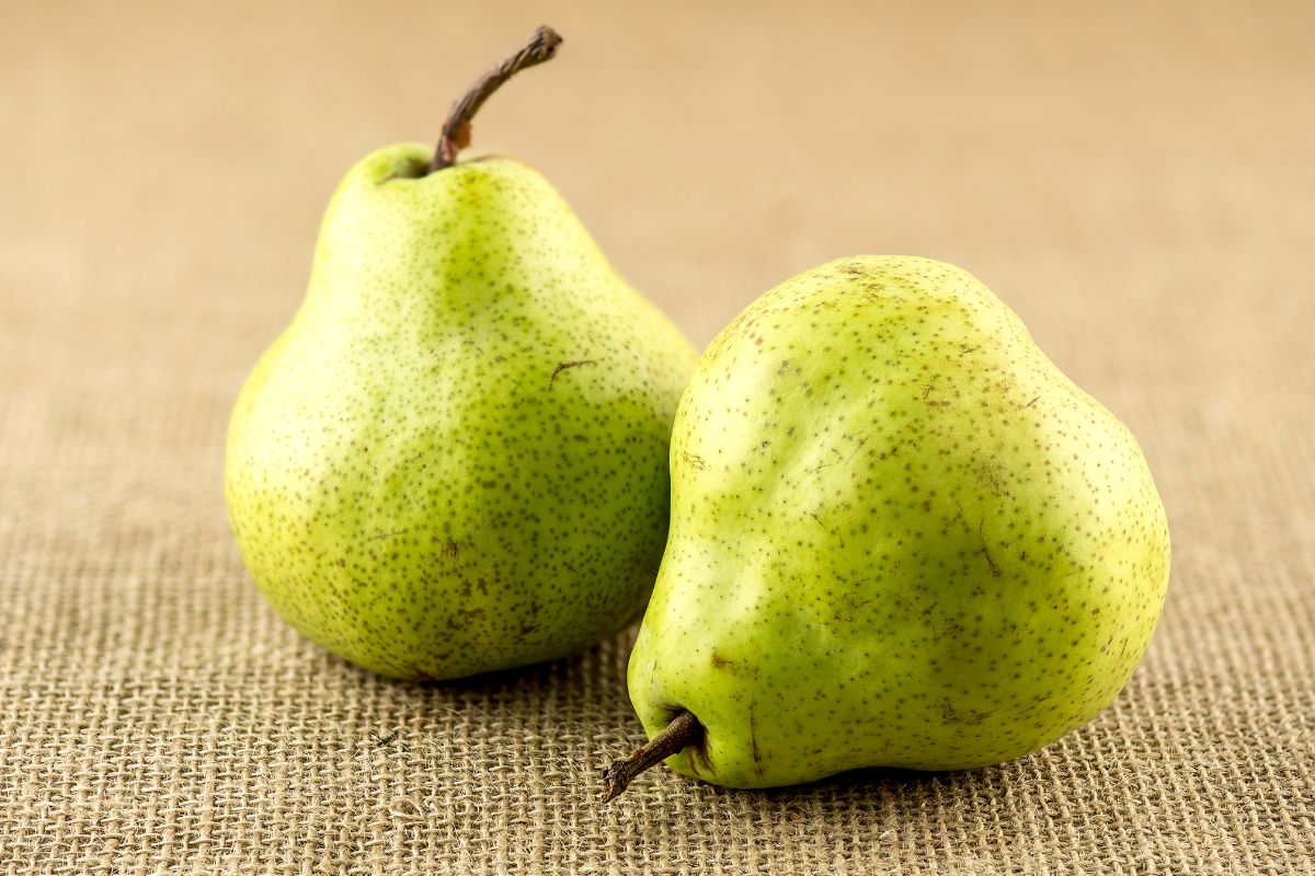 Est-ce que la poire fait baisser la tension ? | Verger Mirabelle