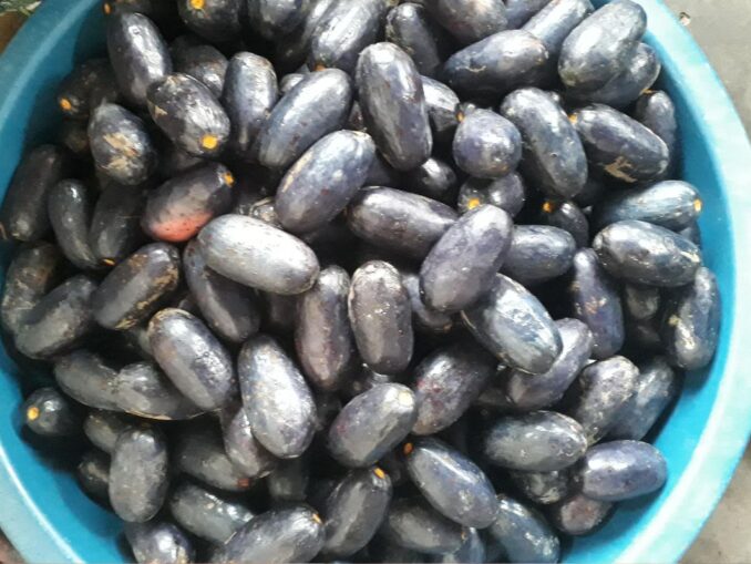 Prune : Origine, Variétés, Bienfaits, Récolte, Recette