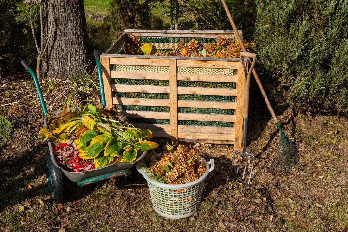 Verger : compost, fumier et engrais verts, que choisir | Verger Mirabelle